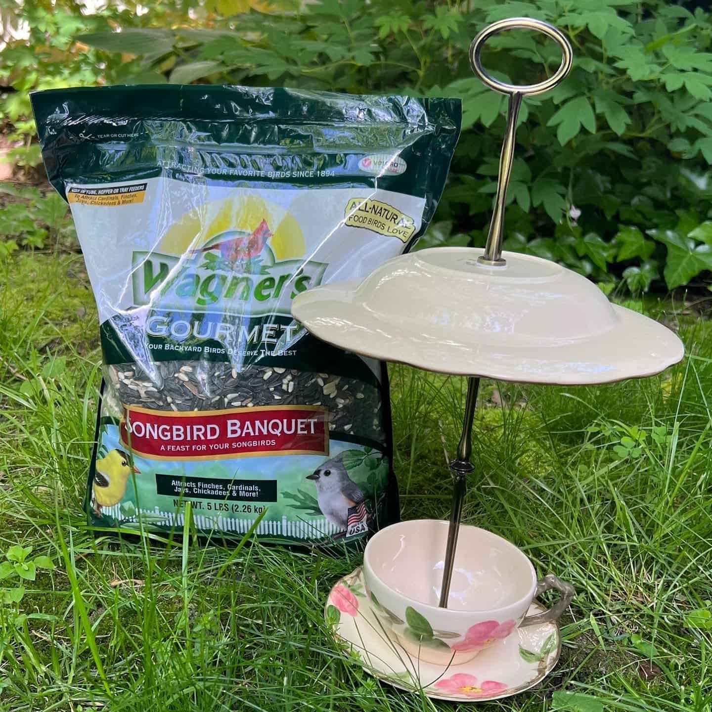 Desert Rose Teacup Bird Feeder – The Brooklyn Teacup